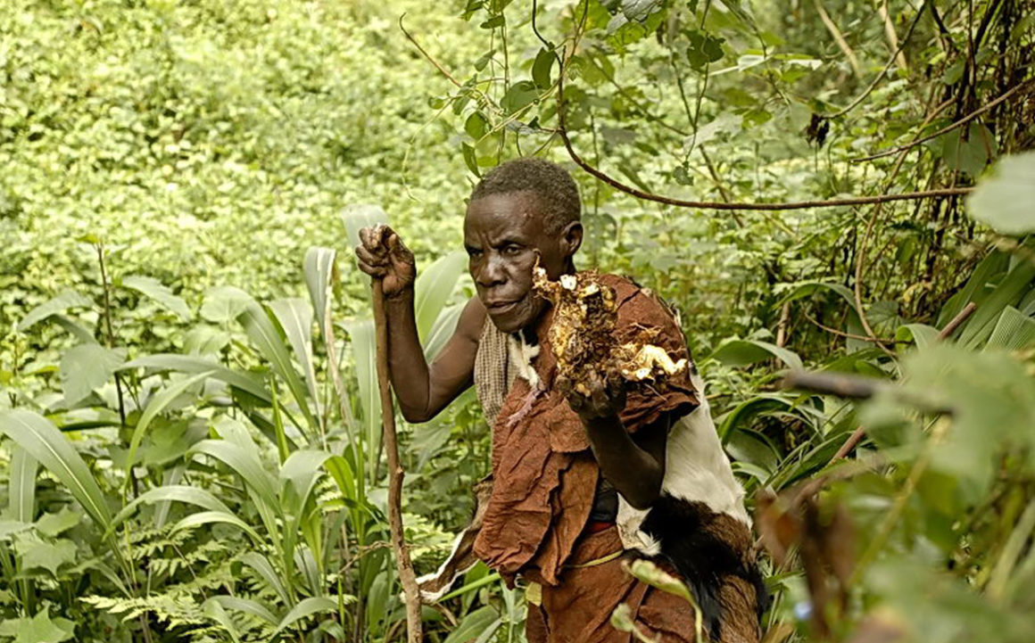 Home - Welcome to the Batwa Experience